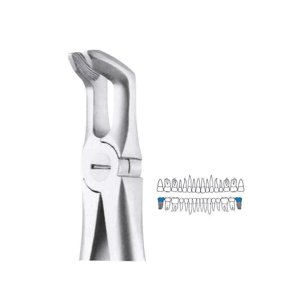 Extraction Forceps Atraumatic Lower Third Molar