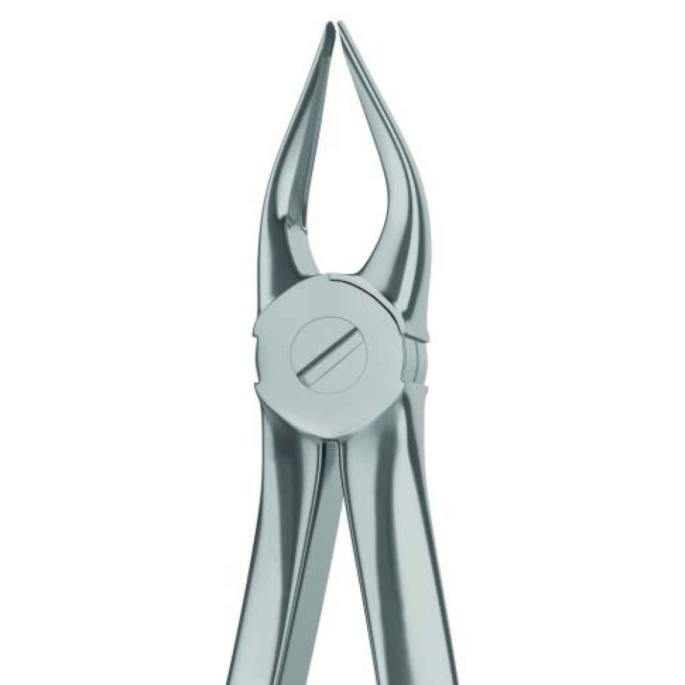 The Dentist Shop | India†s online The Dentist Shop